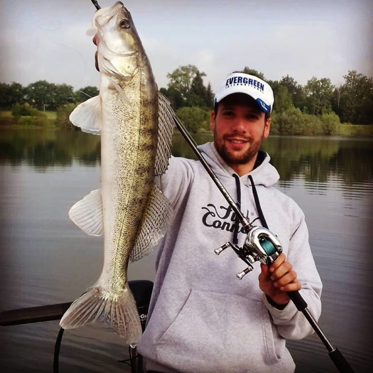 Pike-perch fishing: how to lure this difficult fish? - Rodmaps