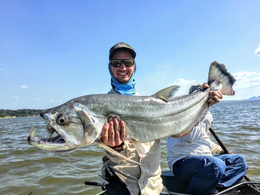 Payara: Los colmillos del orenoque - Rodmaps