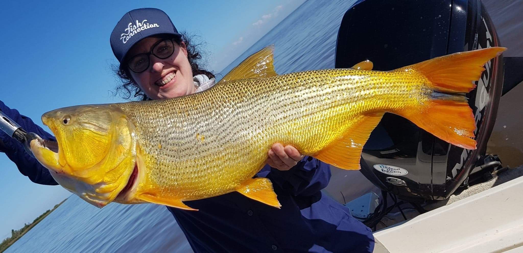 Golden Dorado, el sigiloso lingote de oro - Rodmaps