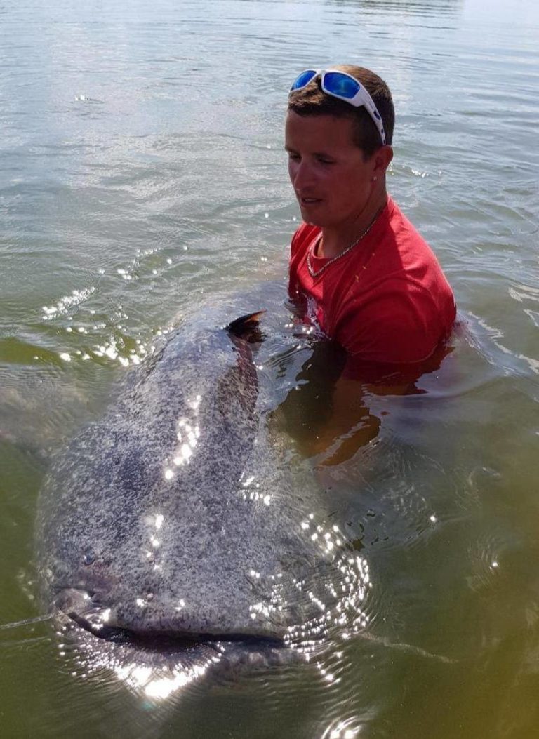Record catfish: the 10 largest catfish caught to date