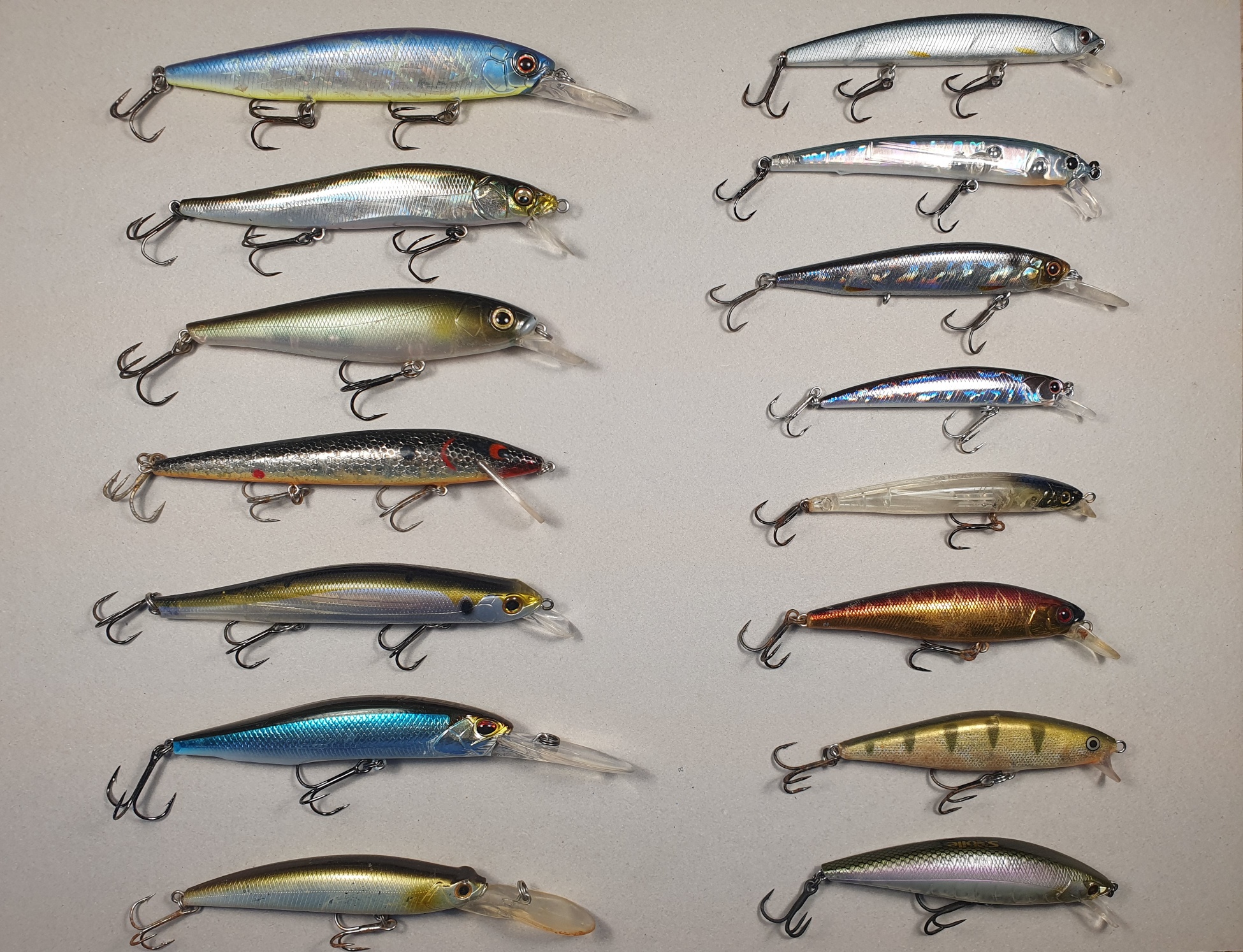 Jerkbait minnow - All you need to know about jerkbait fishing