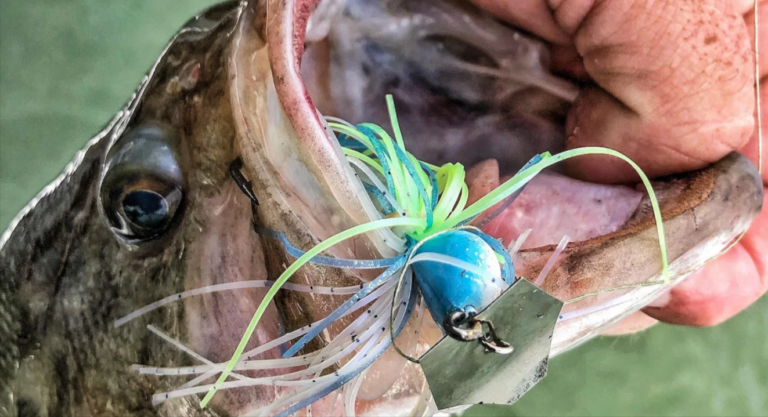 Chatterbait fishing - Everything you need to know about chatterbaits ...