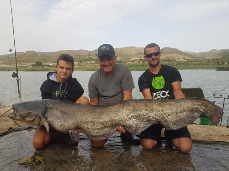 Guide de pêche au silure - Trouver un guide de pêche au silure