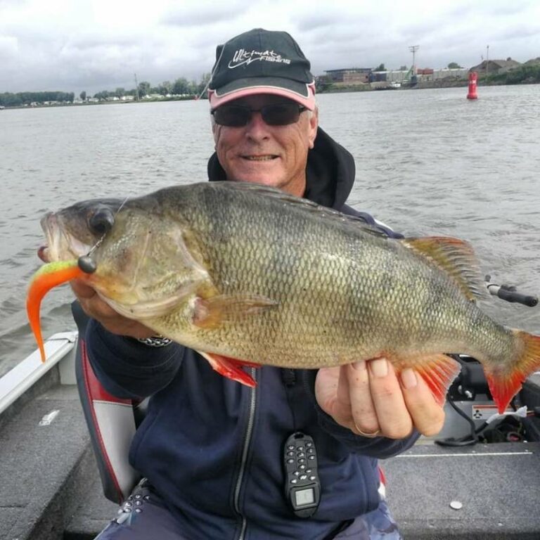 Lake and river fishing for carnivorous fish in Holland - Rodmaps