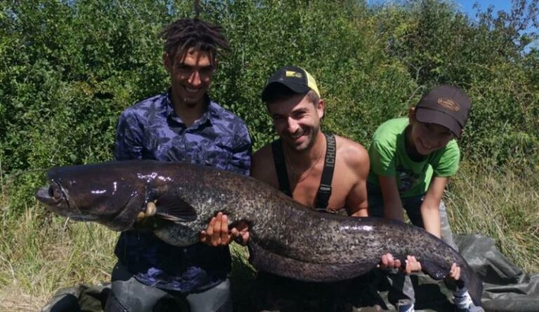 Guide de pêche au silure - Trouver un guide de pêche au silure