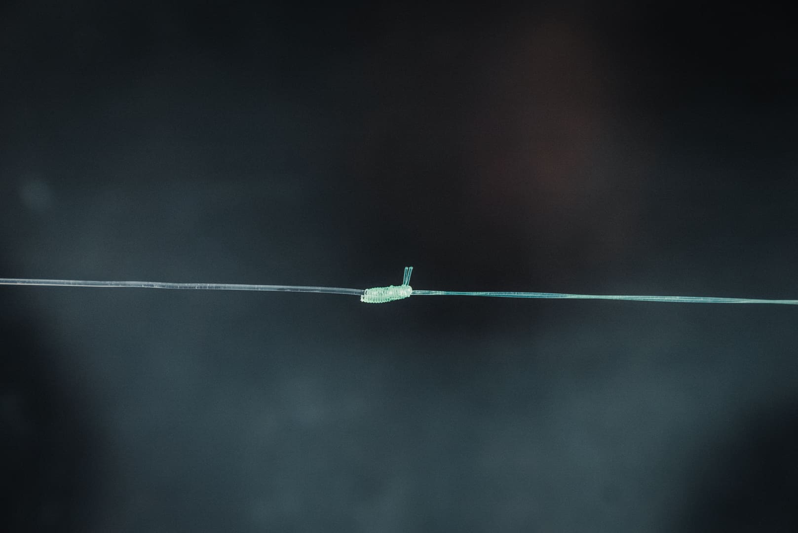 The 3 best braid connection knots: steps and tips