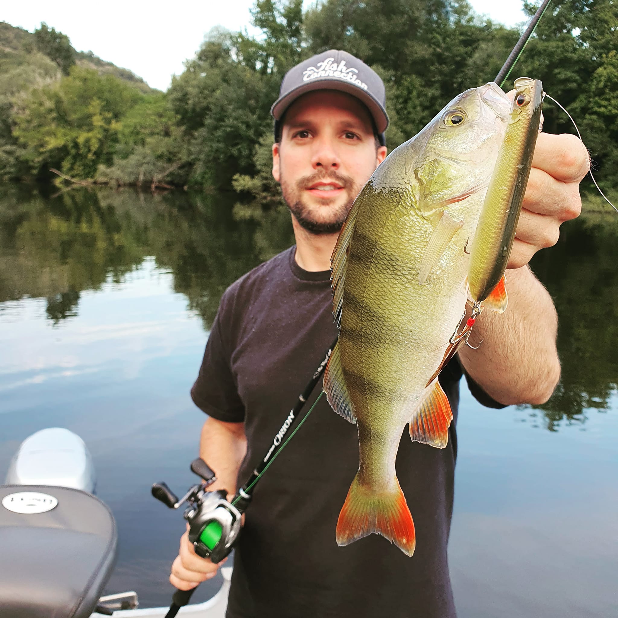 La perche : le poisson ludique et sportif par excellence