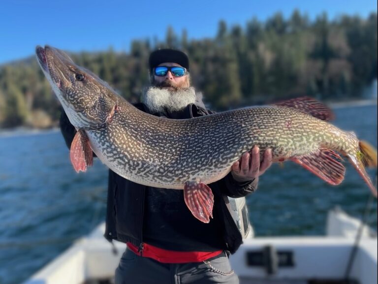 Pike world record: the biggest pikes in history