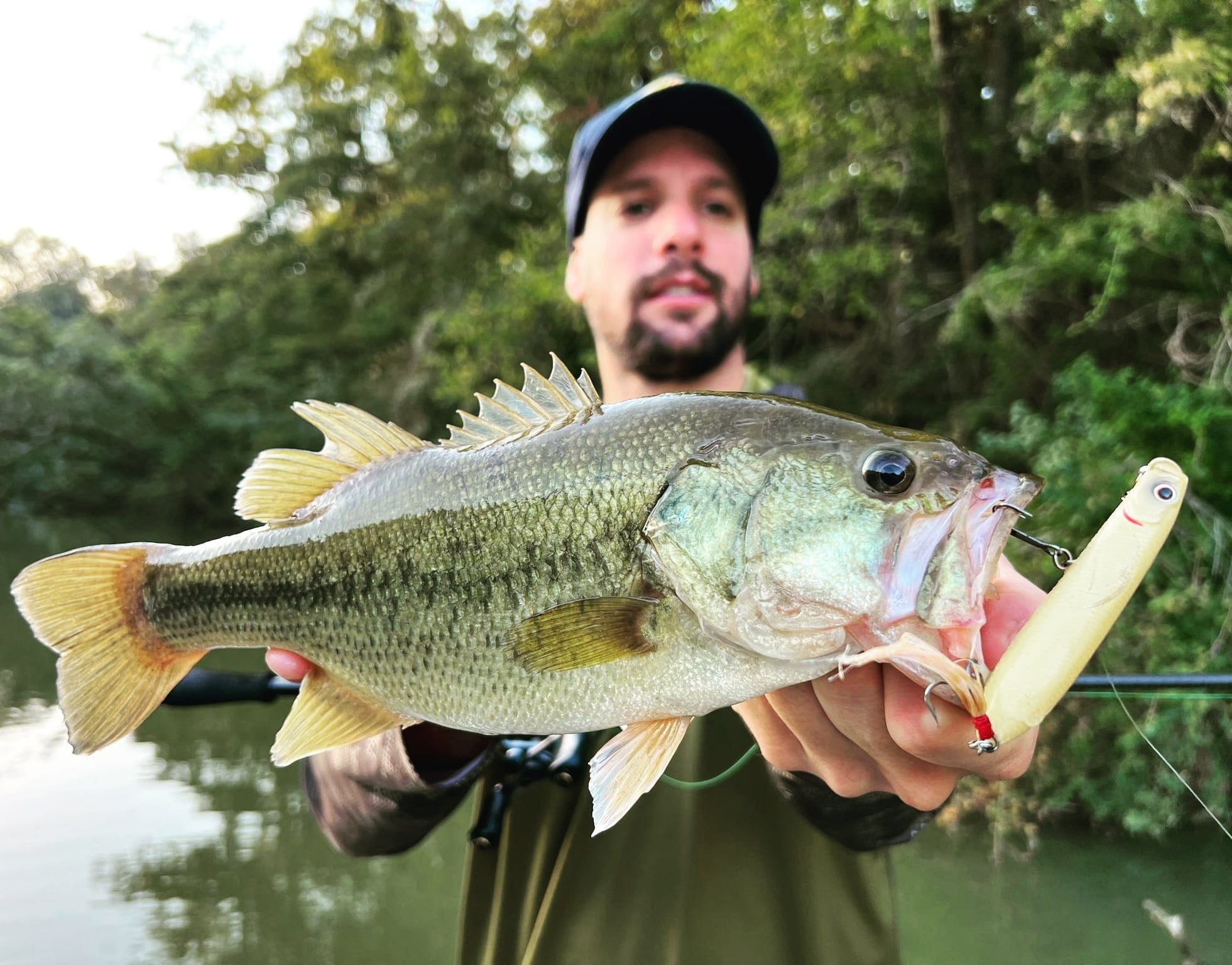 Taille minimale et maximale du black-bass : tout savoir sur les ...